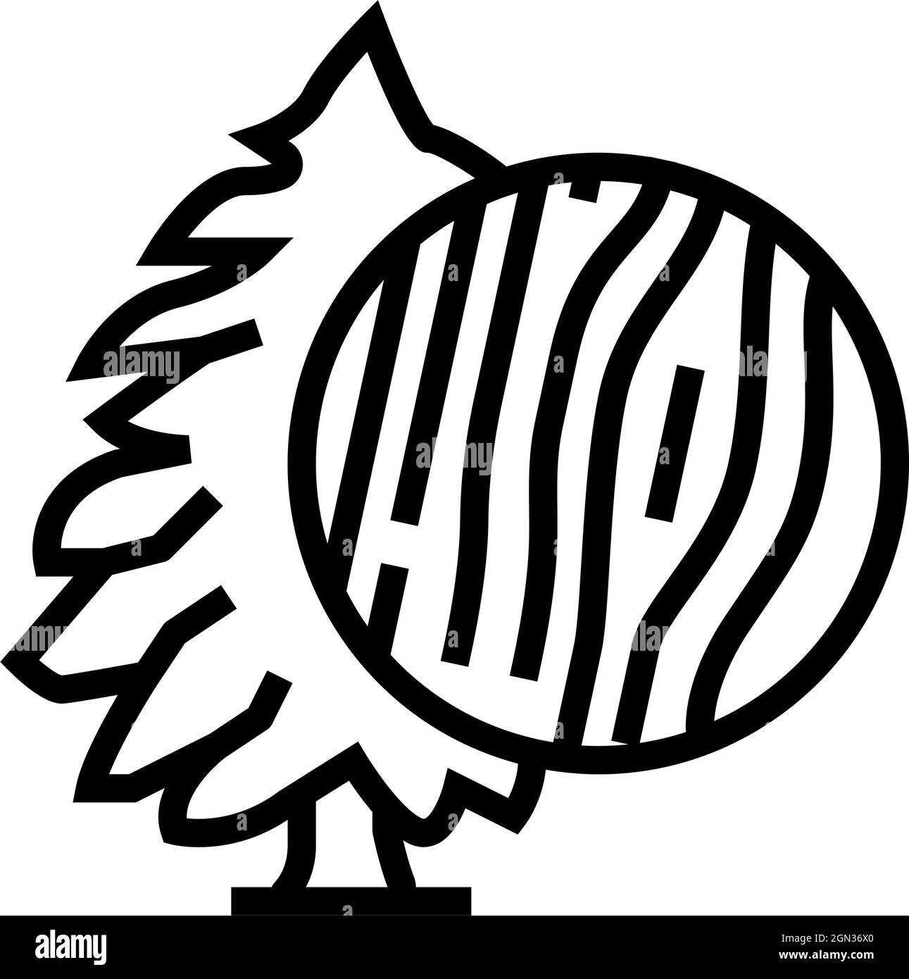 Cedar tree leaves Black and White Stock Photos & Images - Alamy