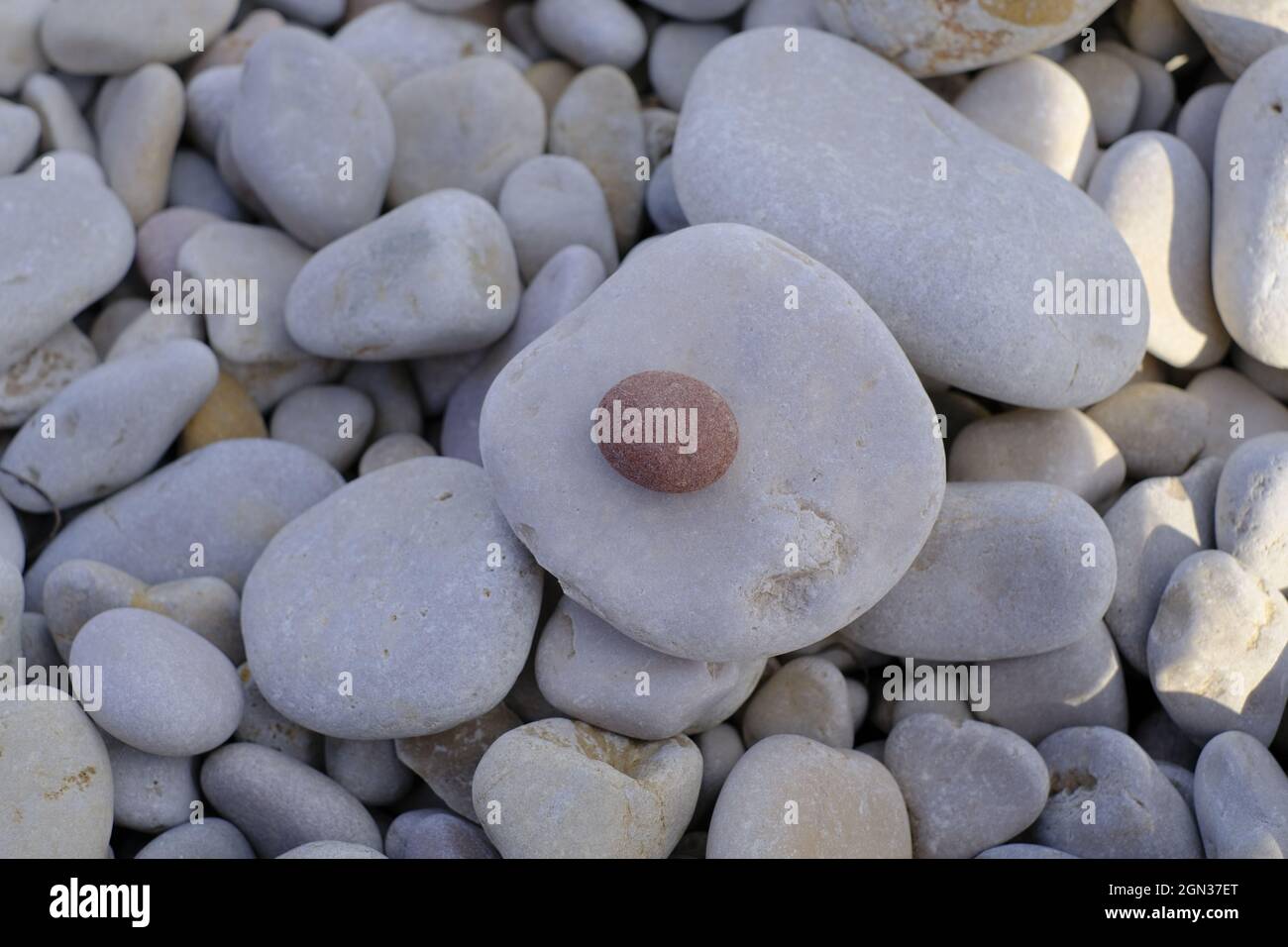 Small brown stone on gray pebbles - background and texture Stock Photo ...