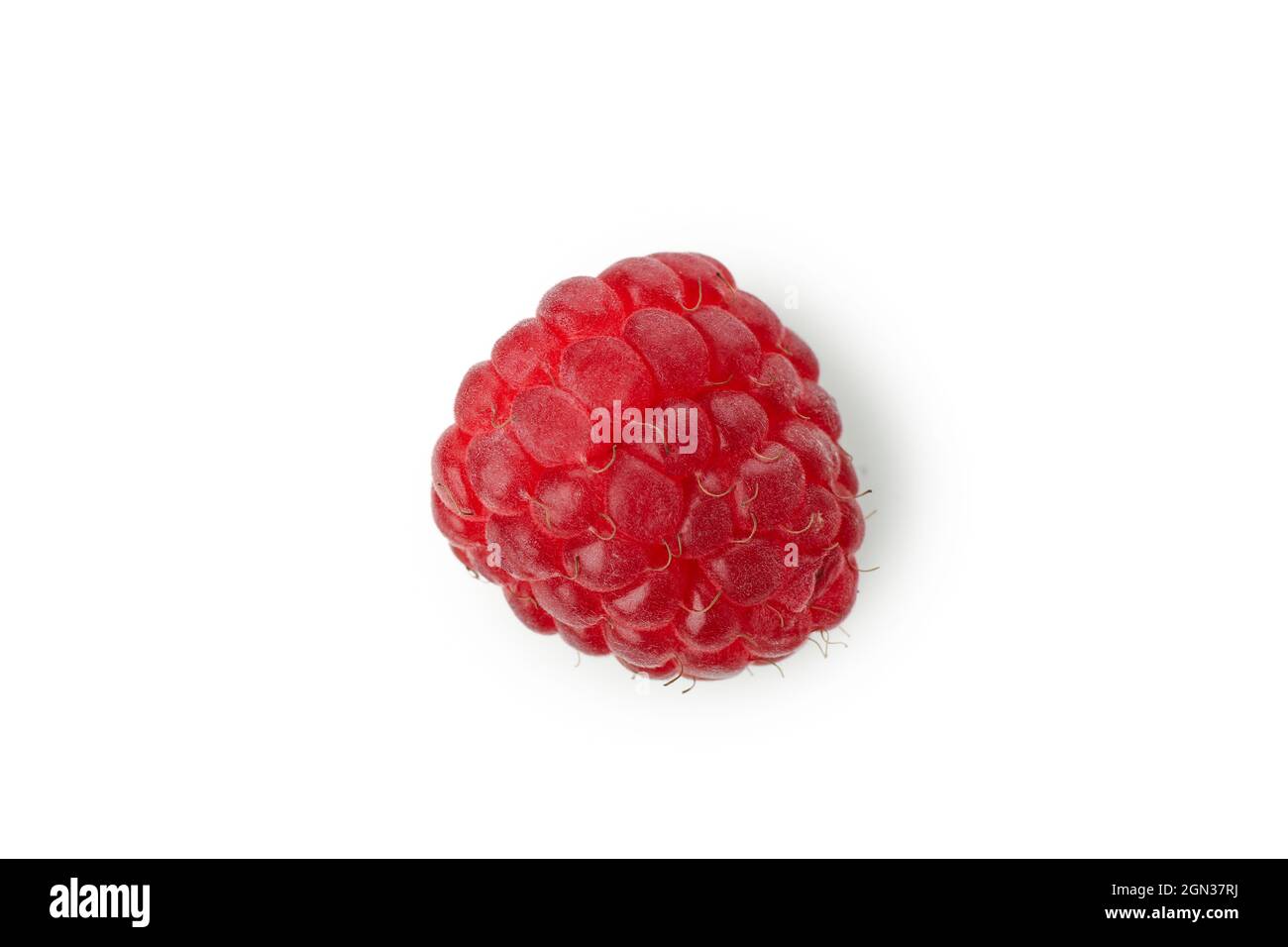 Red juicy raspberry, isolated on white background Stock Photo - Alamy