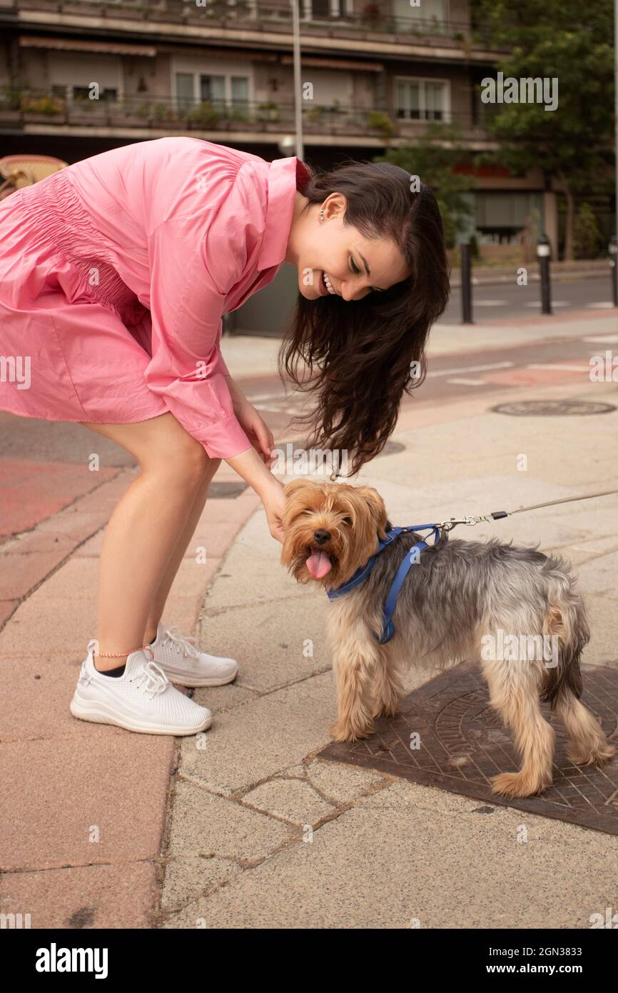 Side view of positive female bending to dog and petting Yorkshire ...