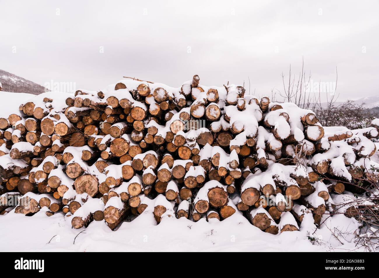 Pile of timber logs under snow in hilly winter valley under cloudy sky ...