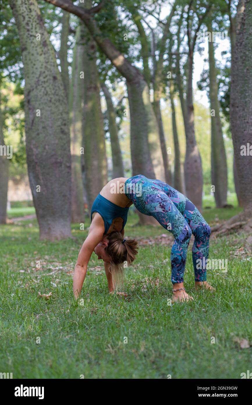 Side view of flexible female in activewear performing Urdhva ...