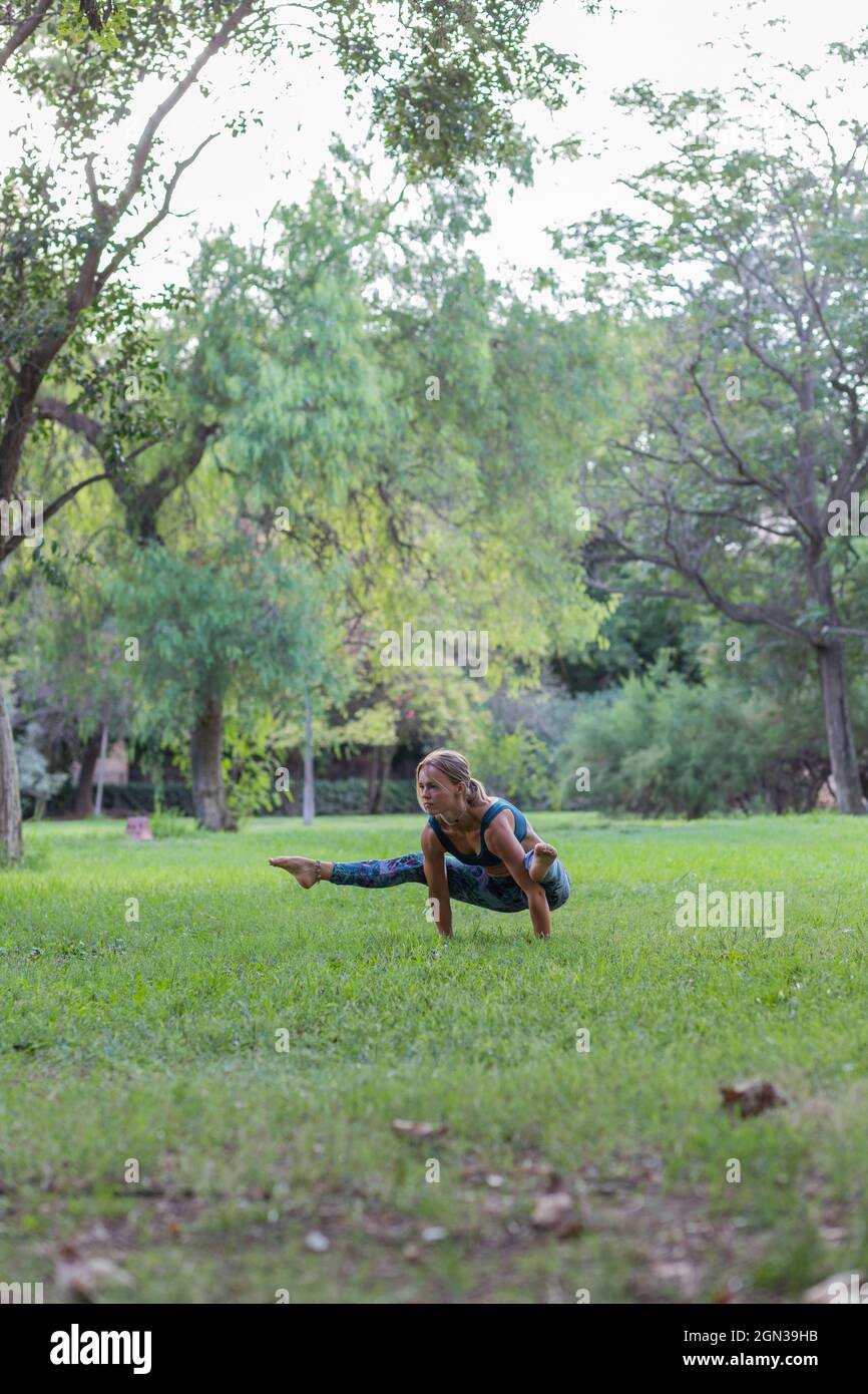 Female firefly hi-res stock photography and images - Alamy