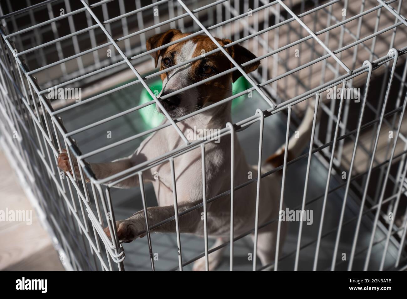 Empty zoo animal cage hi-res stock photography and images - Alamy