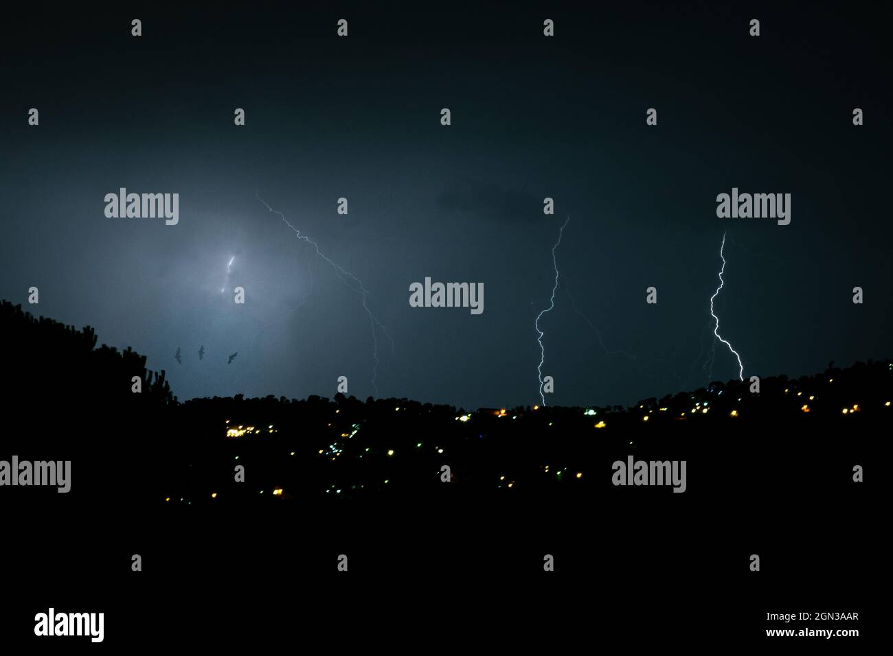 Bat flying across the urban landscape of a thunderstorm Stock Photo - Alamy