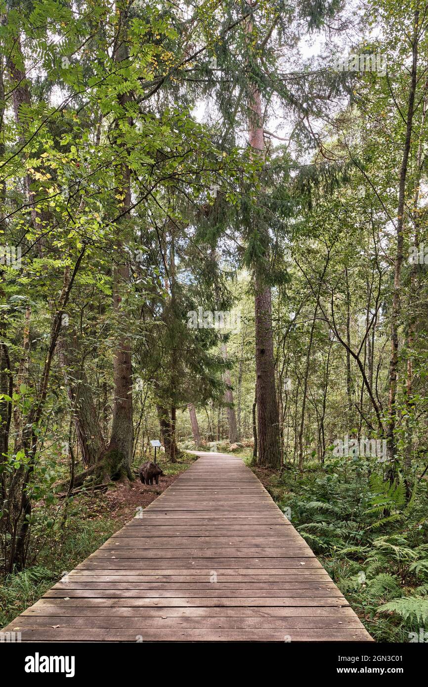 Ecological trail hi-res stock photography and images - Alamy