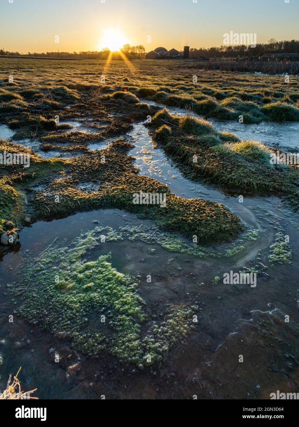 Light moorland hi-res stock photography and images - Alamy