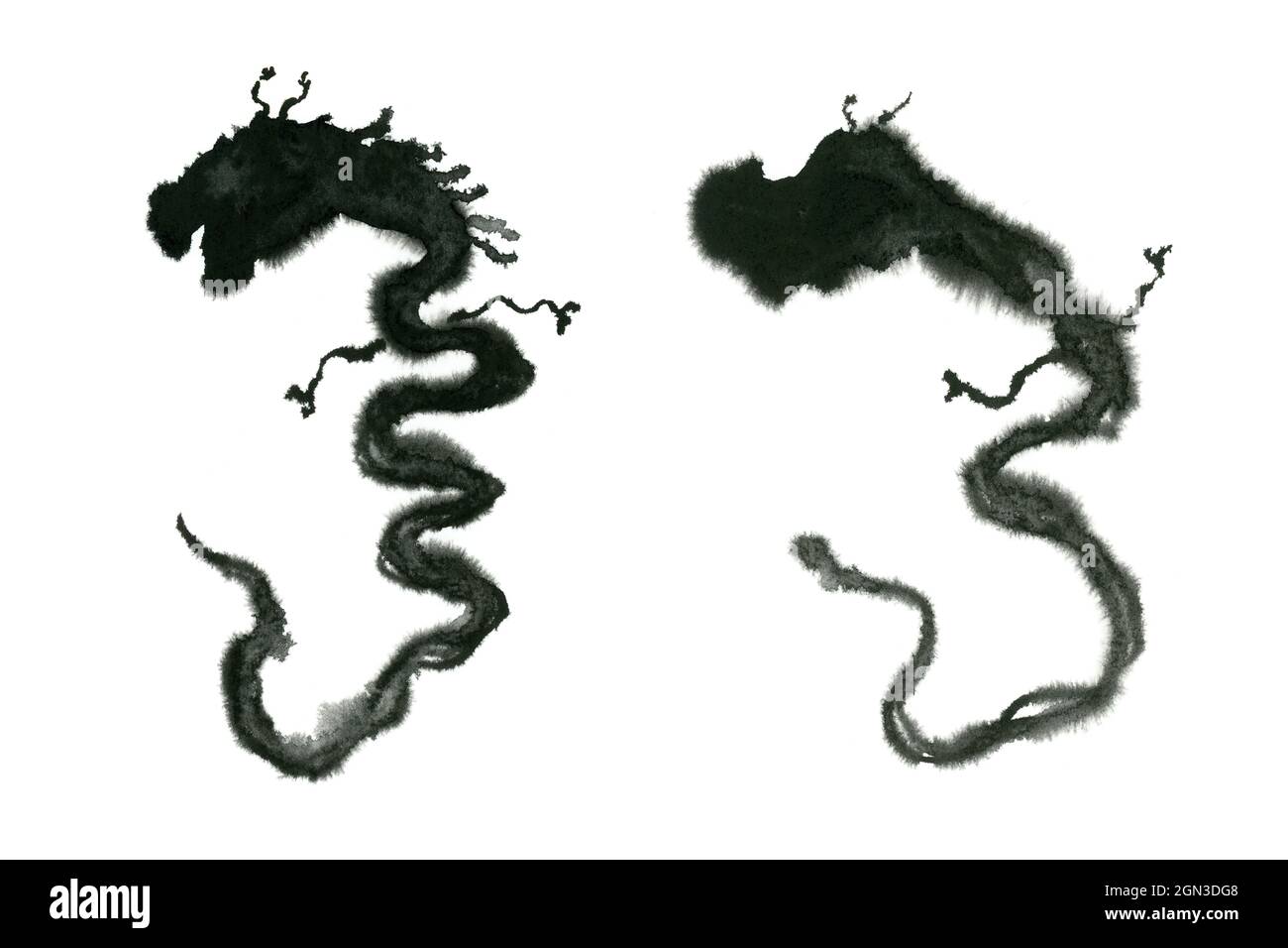 Japanese Ink Painting Dragon