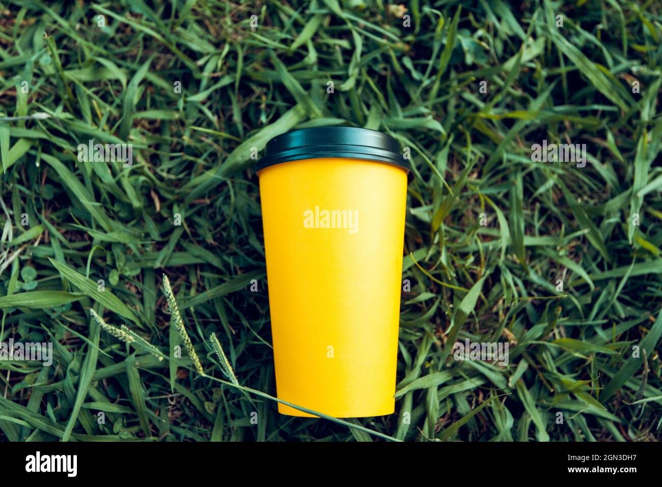 Paper garbage on green grass top view. Recycle concept. trash can in ...