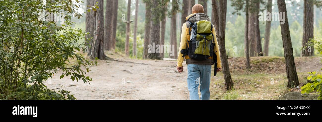 back view of hiker with backpack walking in forest, banner Stock Photo ...
