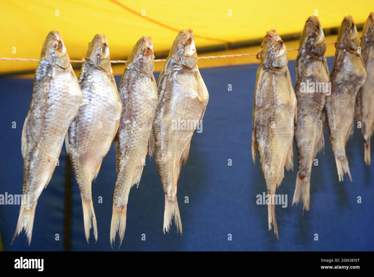 Dried fish on a rope for sale - Image Stock Photo - Alamy