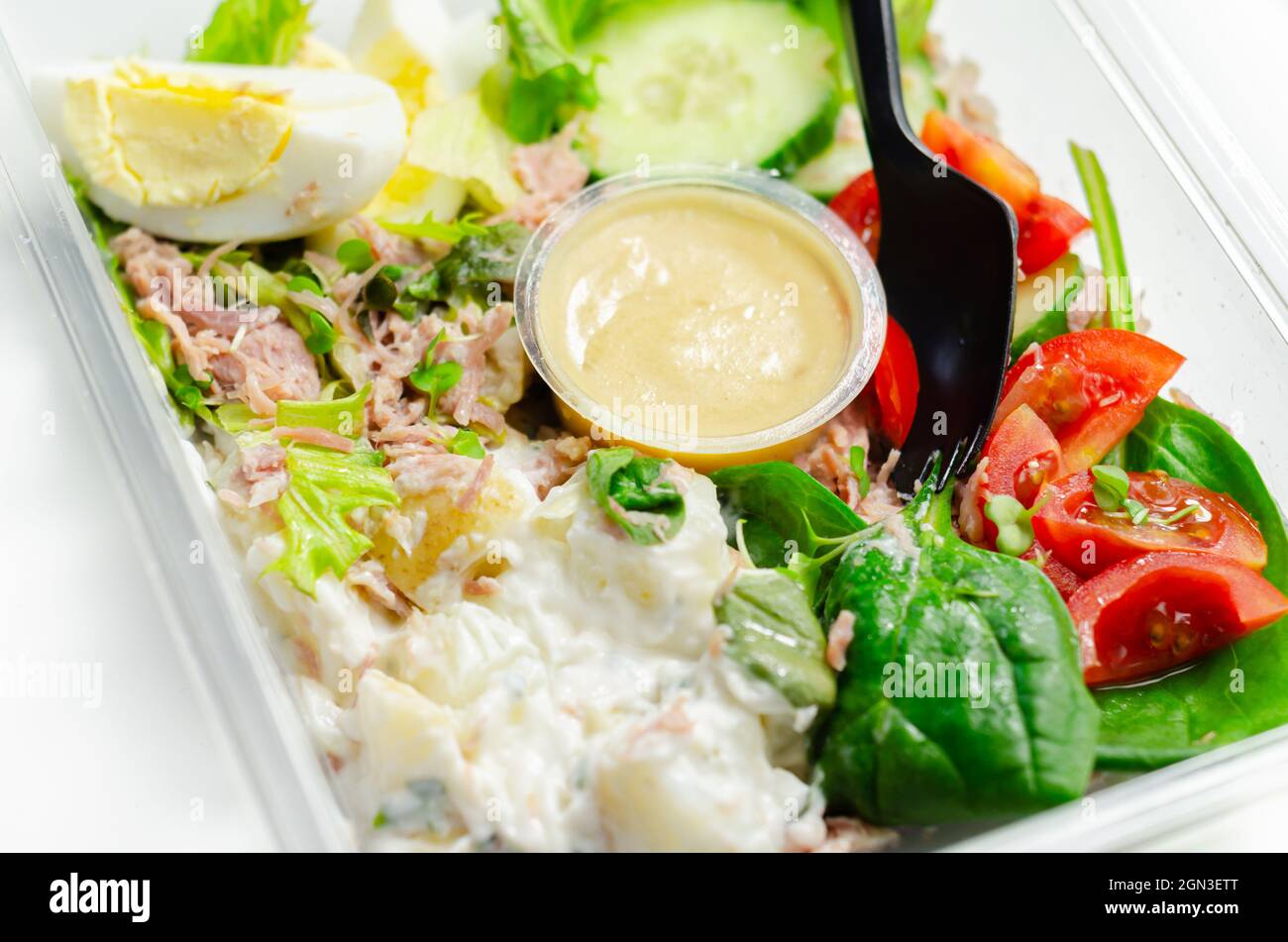 Healthy salad in the plastic food box, potato salad with hard boiled ...