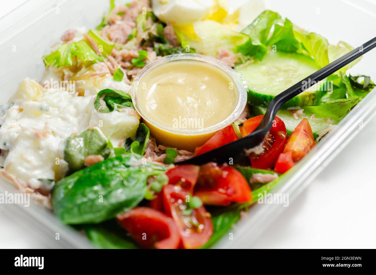 Healthy salad in the plastic food box, potato salad with hard boiled ...