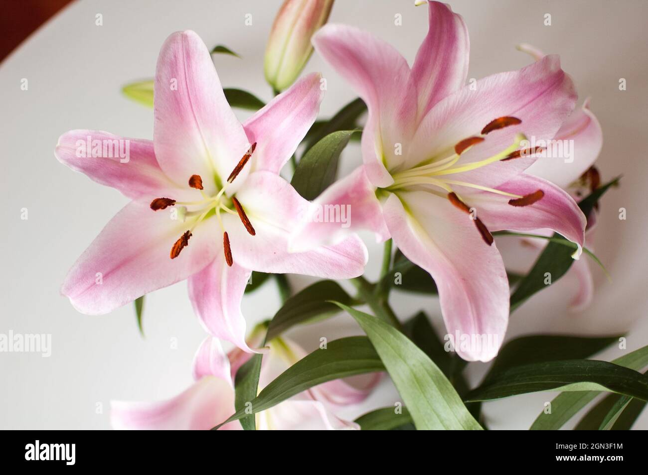 Photo of a perfect bouquet of beautiful lilies on table, pink lily ...
