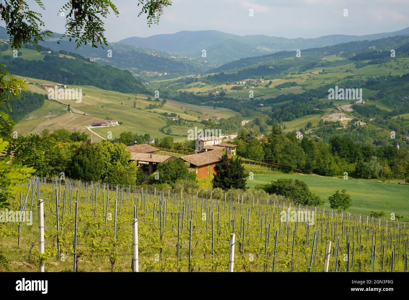 Rural landscape near Nibbiano, Piacenza province, Emilia-Romagna, Italy ...
