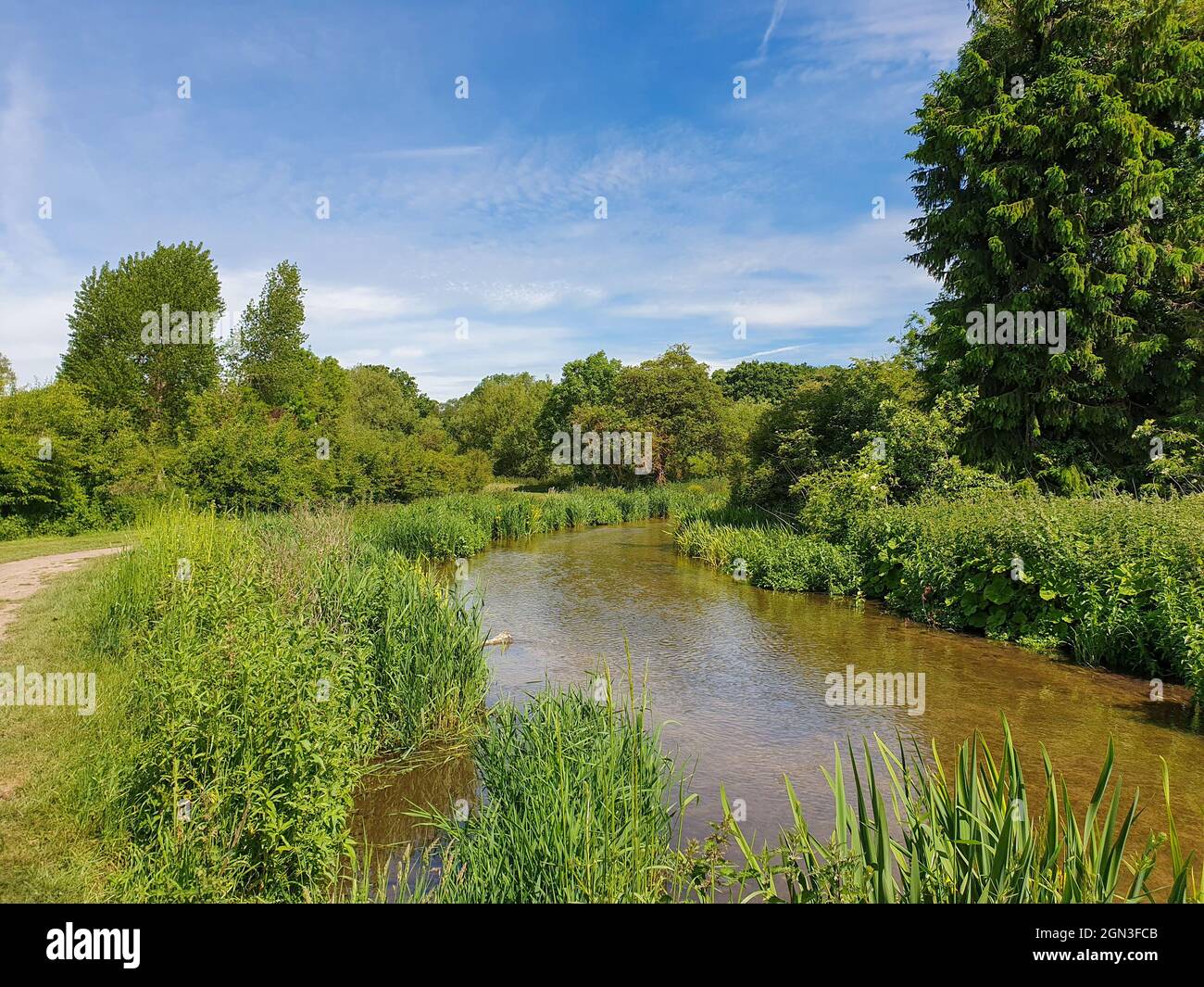 Picturesque River Chess flows next to footpath and reeds near ...
