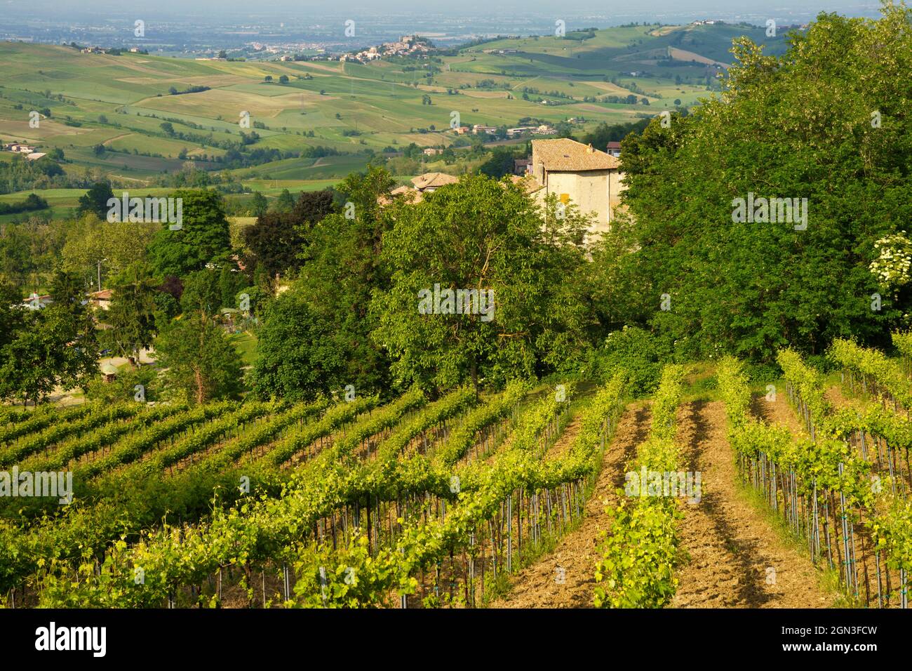 Rural landscape near Nibbiano, Piacenza province, Emilia-Romagna, Italy ...