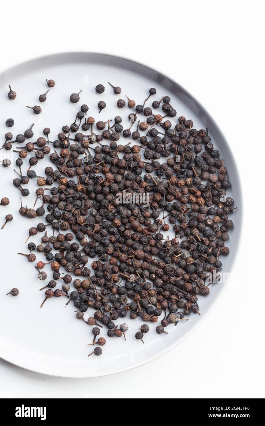Cubeb pepper (Piper cubeba Stock Photo - Alamy
