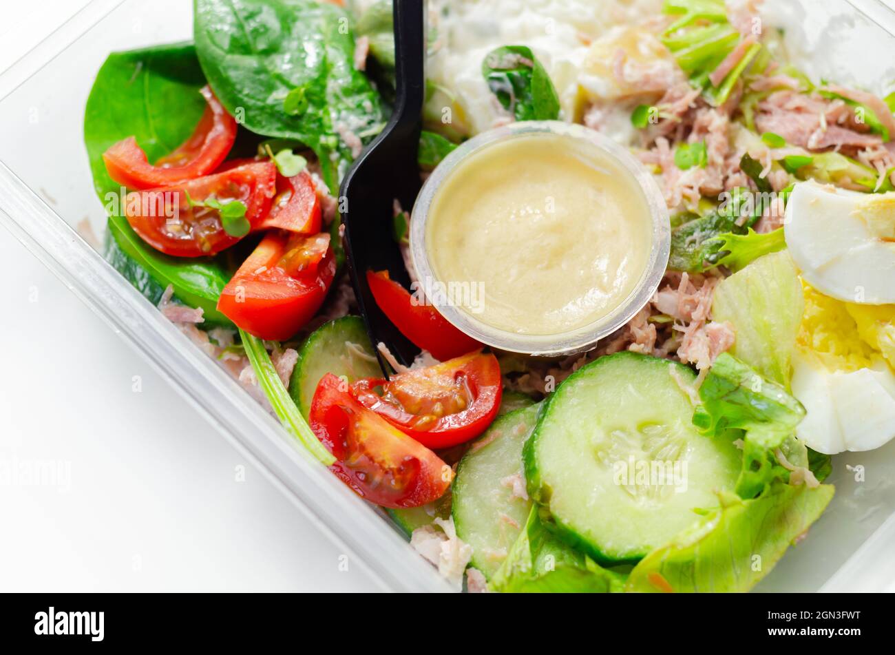 Healthy salad in the plastic food box, potato salad with hard boiled ...