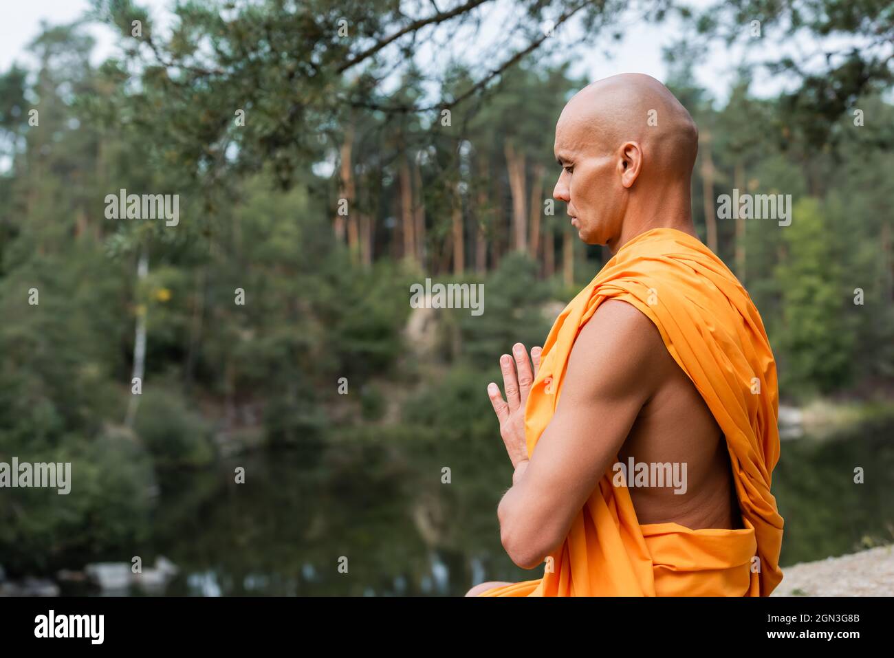 Buddhist Praying Hands
