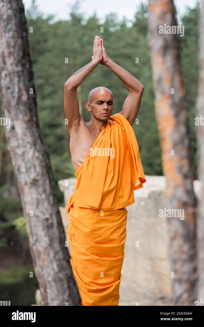 Buddhist Praying Hands