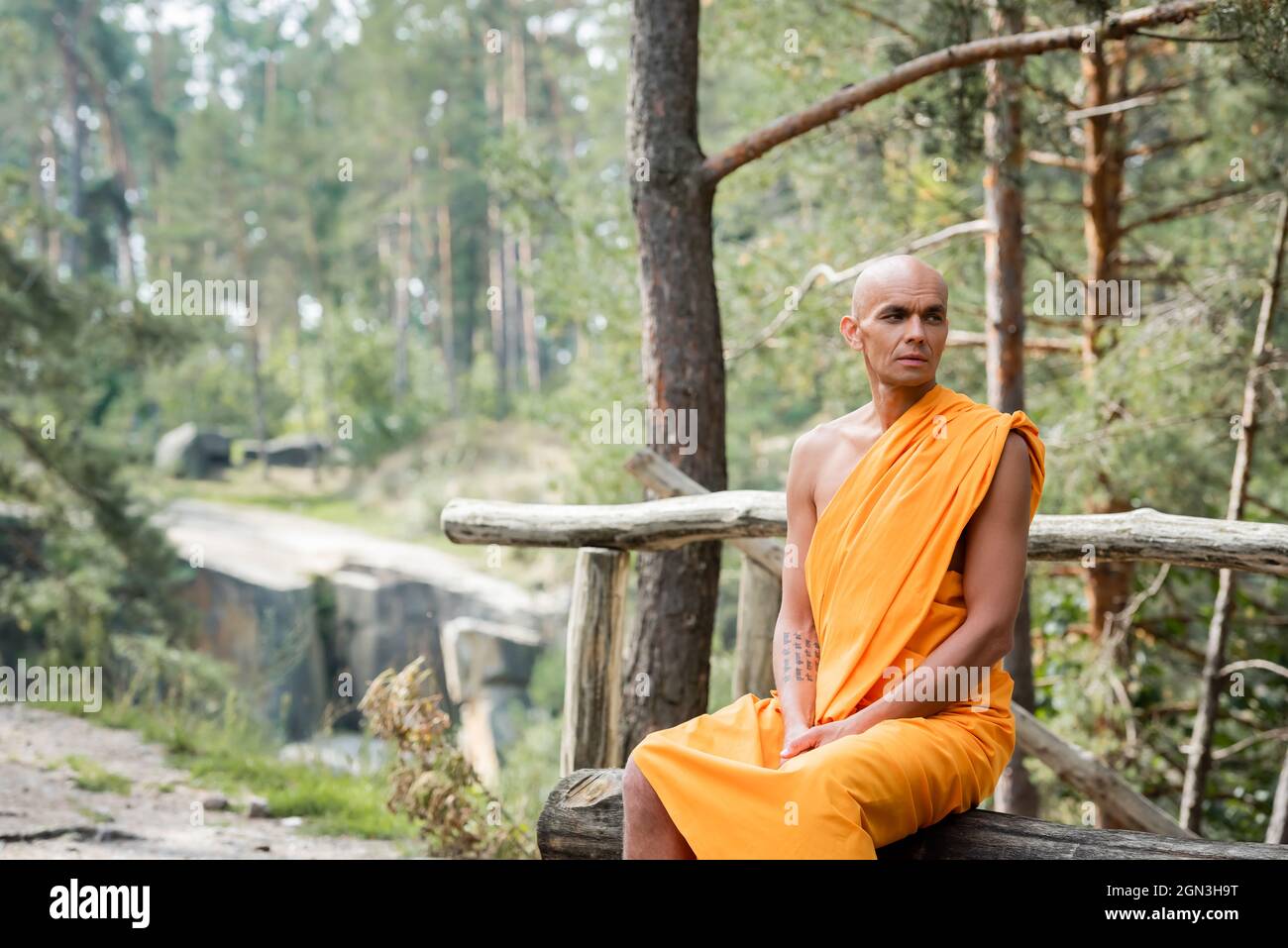 buddhist monk in traditional orange robe sitting on log bench in forest ...