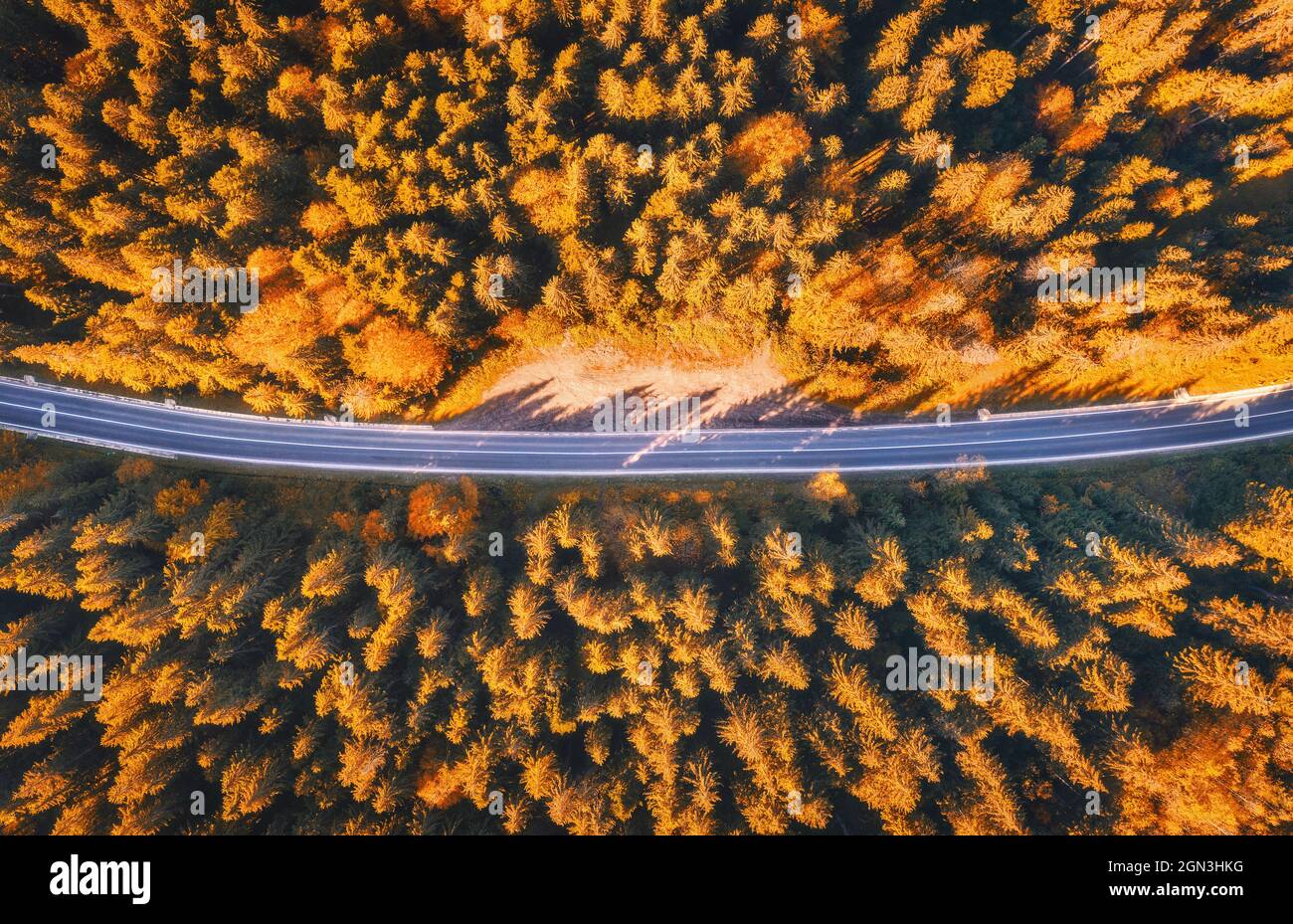 Beautiful forest road view hi-res stock photography and images - Alamy