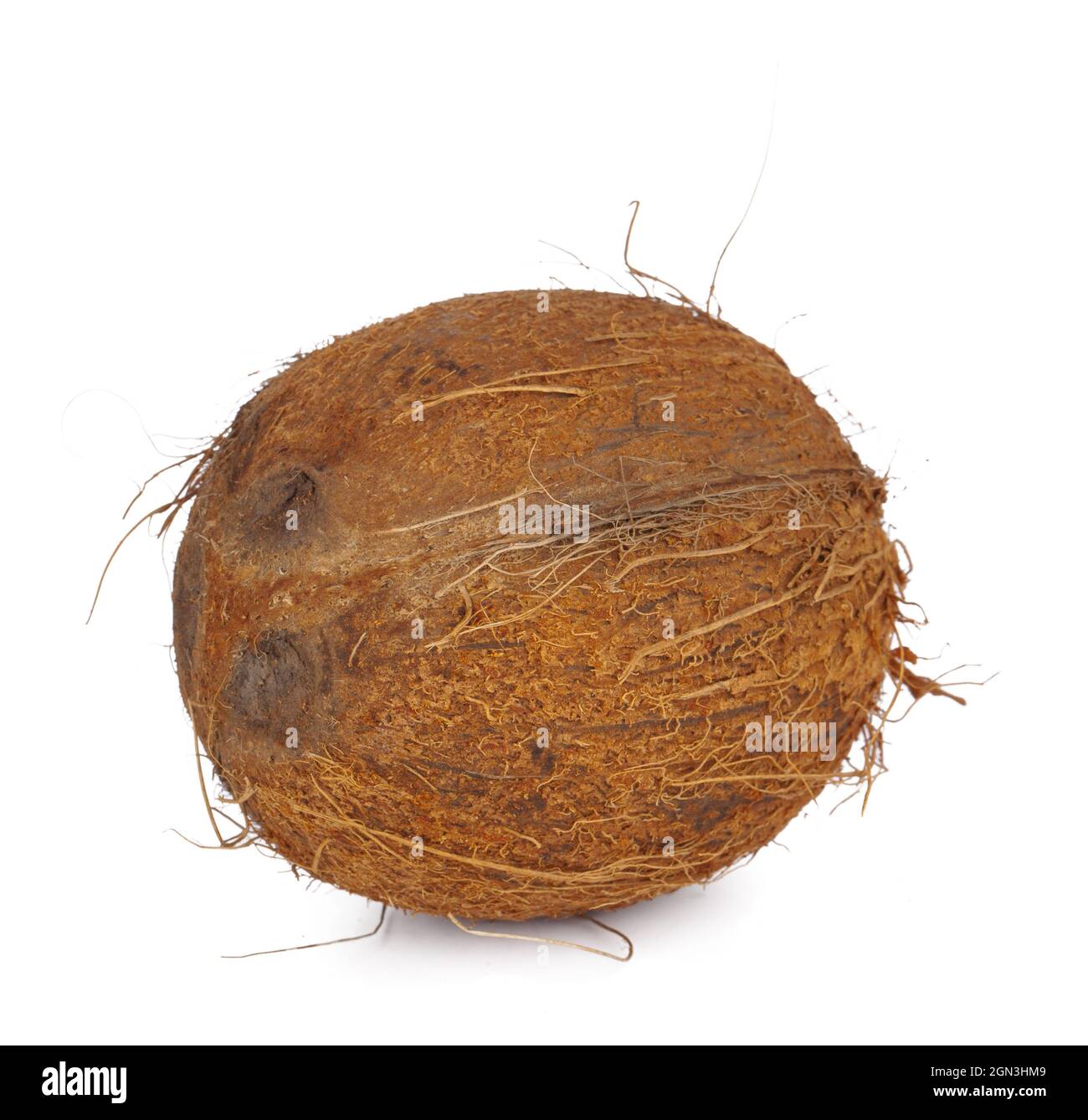 Whole coconut close up isolated on white background Stock Photo - Alamy