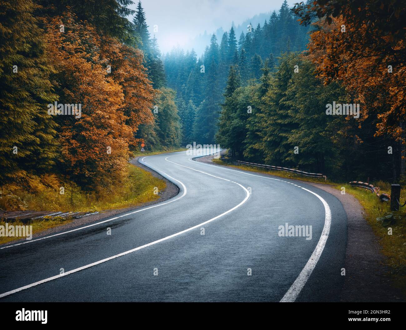 Rainy road in autumn hi-res stock photography and images - Alamy