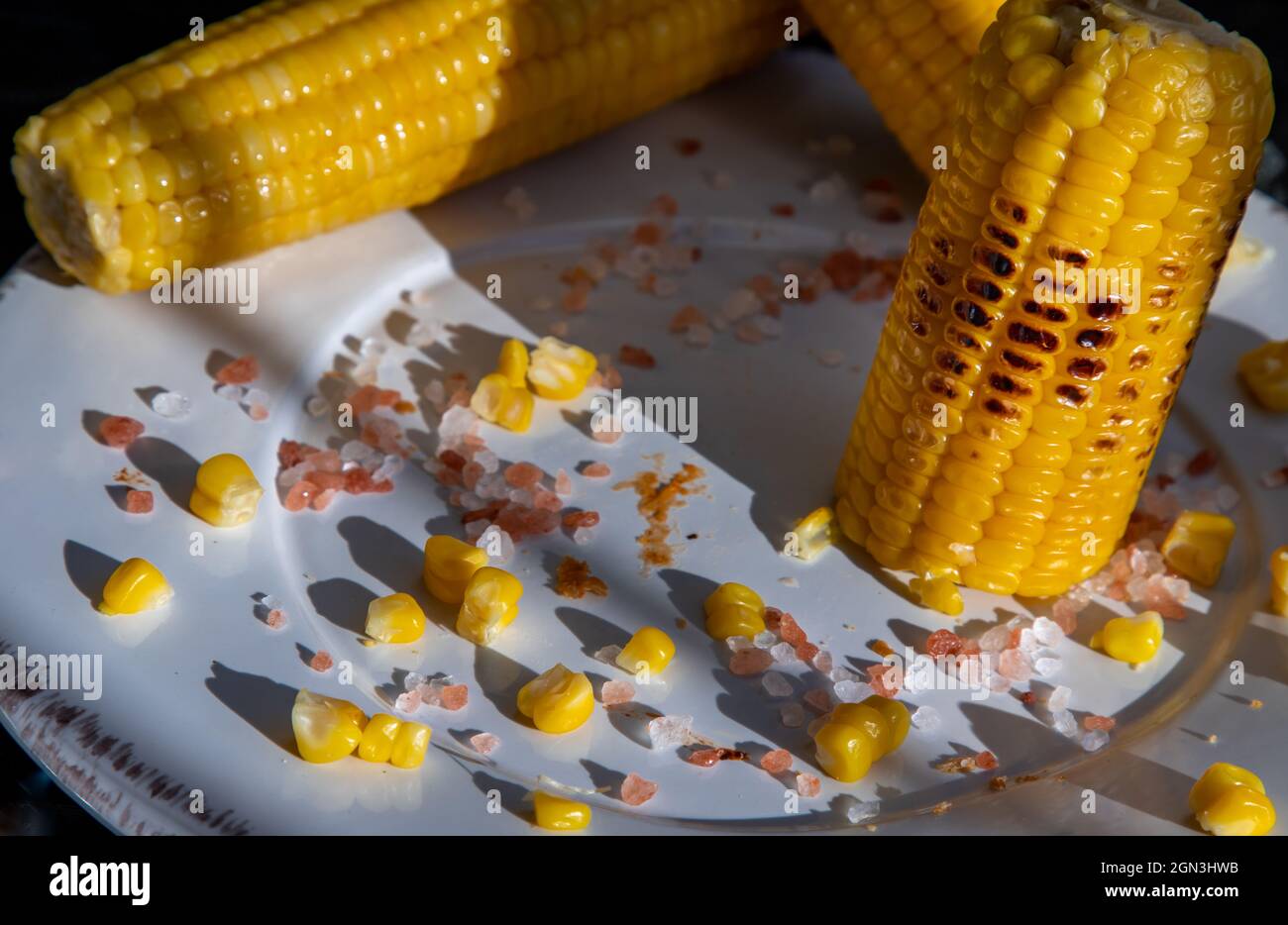 Close-up of Grilled corn on the cob on classic white plate over dark ...