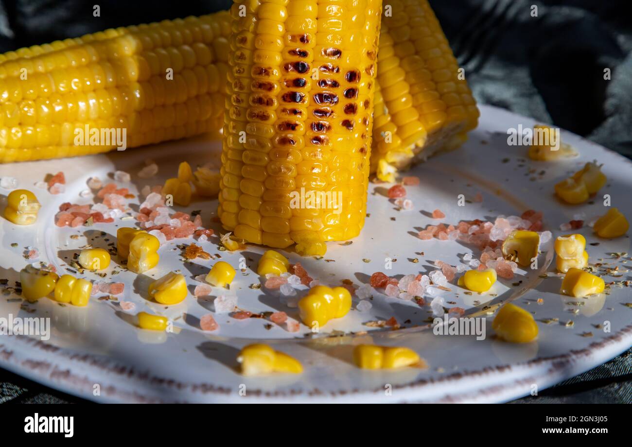 Close-up of Grilled corn on the cob on classic white plate over dark ...
