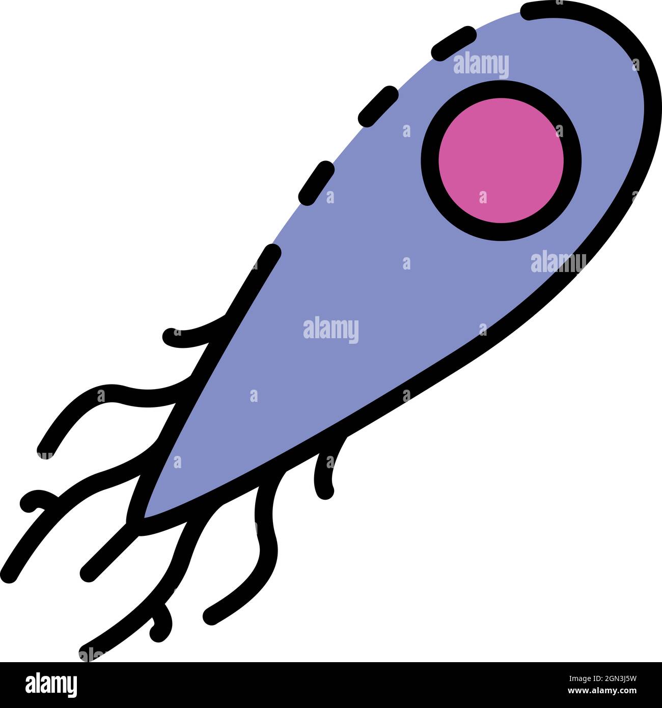 Helicobacter pylori icon. Outline helicobacter pylori vector icon color ...