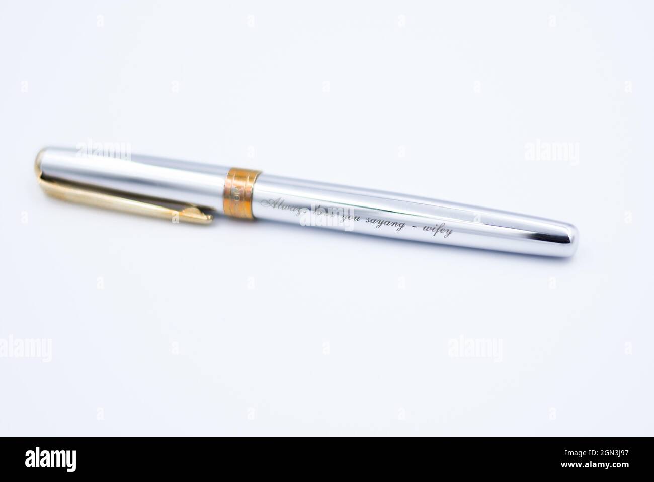 Closeup of the beautiful silver calligraphy pen isolated on white ...
