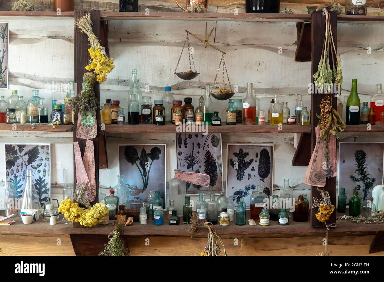 shelves of bottles with ancient medicines of the ancient pharmacist ...