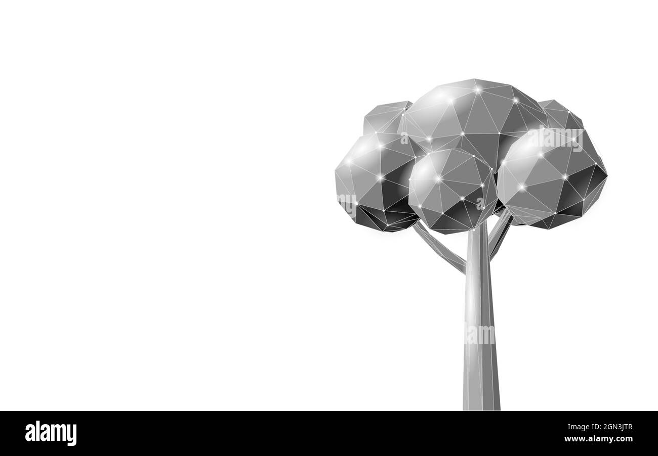 Save forest ecology abstract banner template. Eco rainforest safety ...