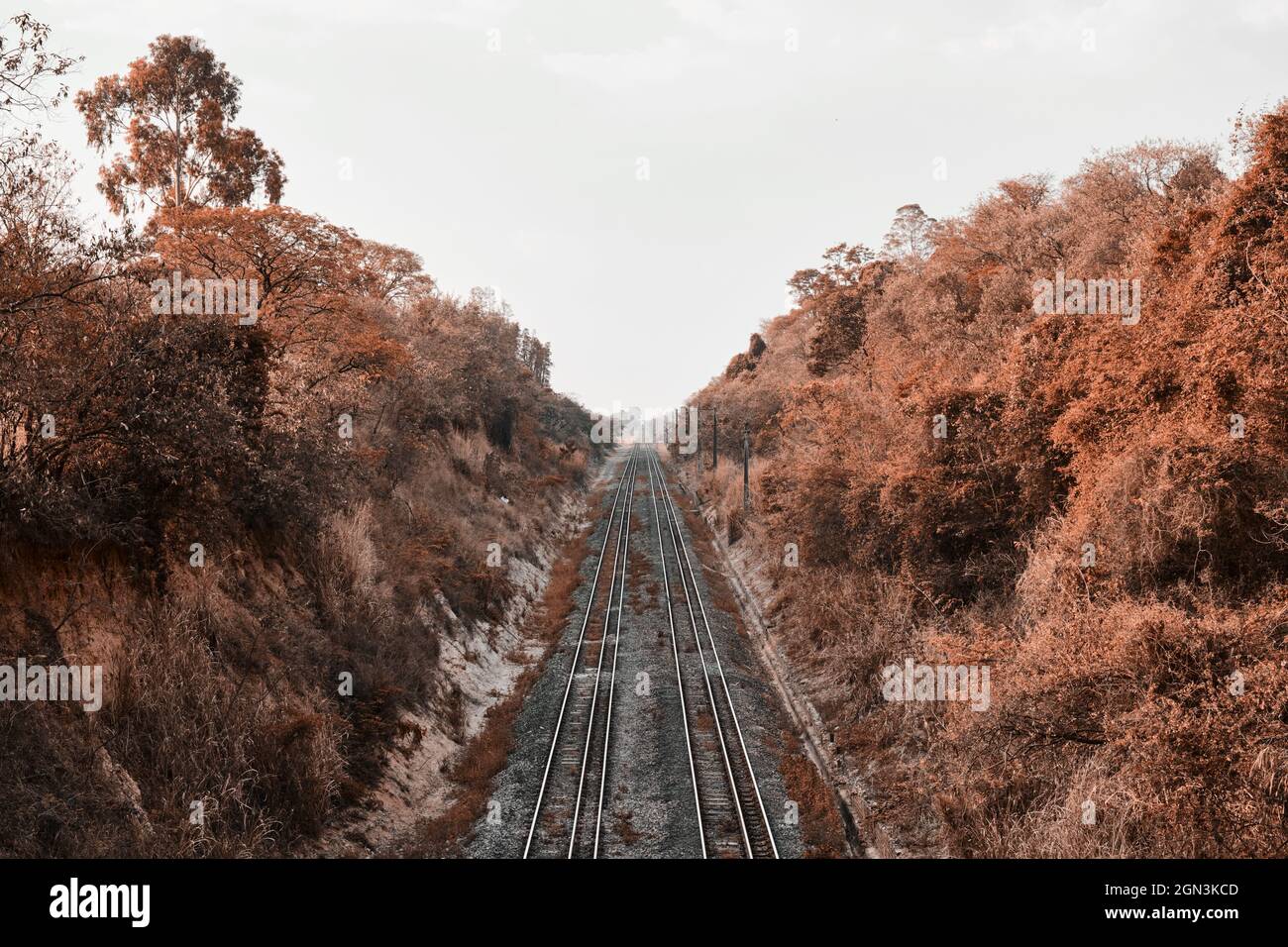 Aerial view of two railway tracks hi-res stock photography and images ...