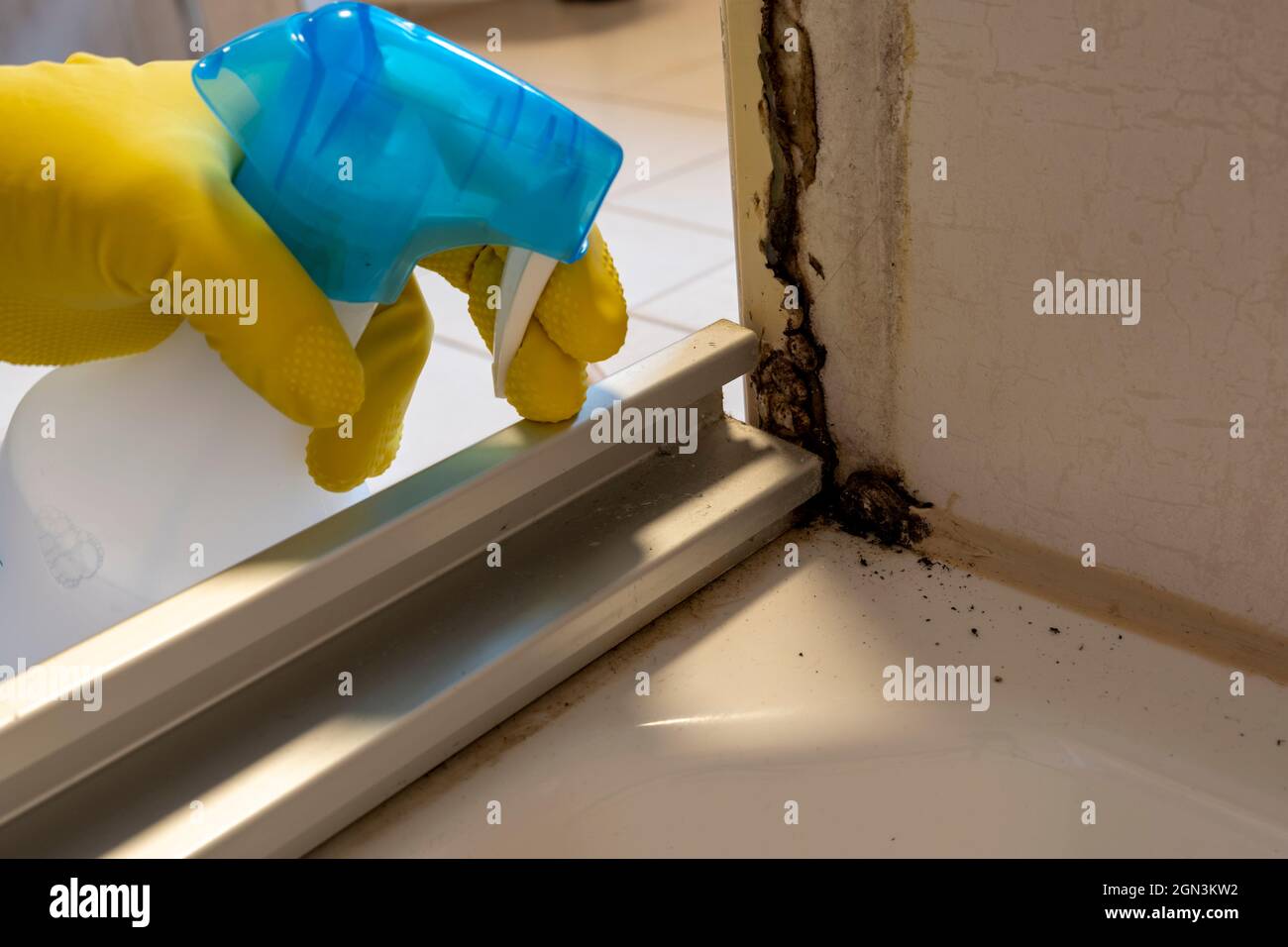 dirty tile cleaning and mold removing from grout Stock Photo - Alamy