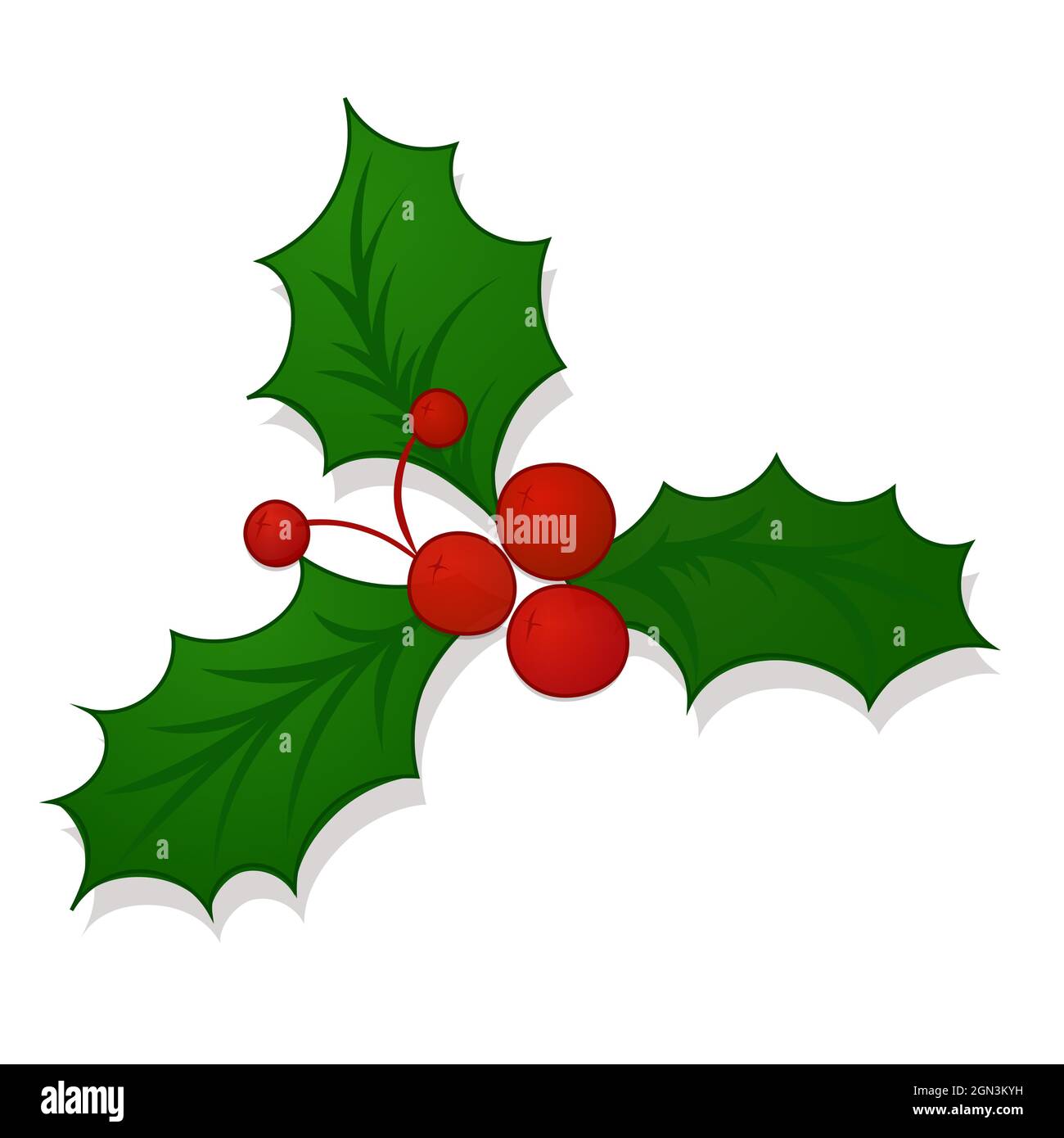 Holly leaf cartoon Stock Vector Images - Alamy