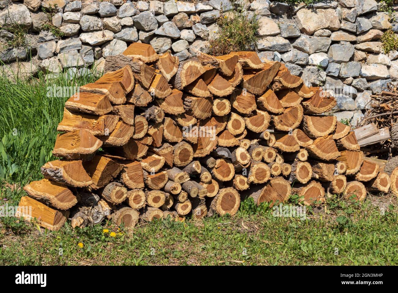 Cut Log Stack Stock Photo - Alamy