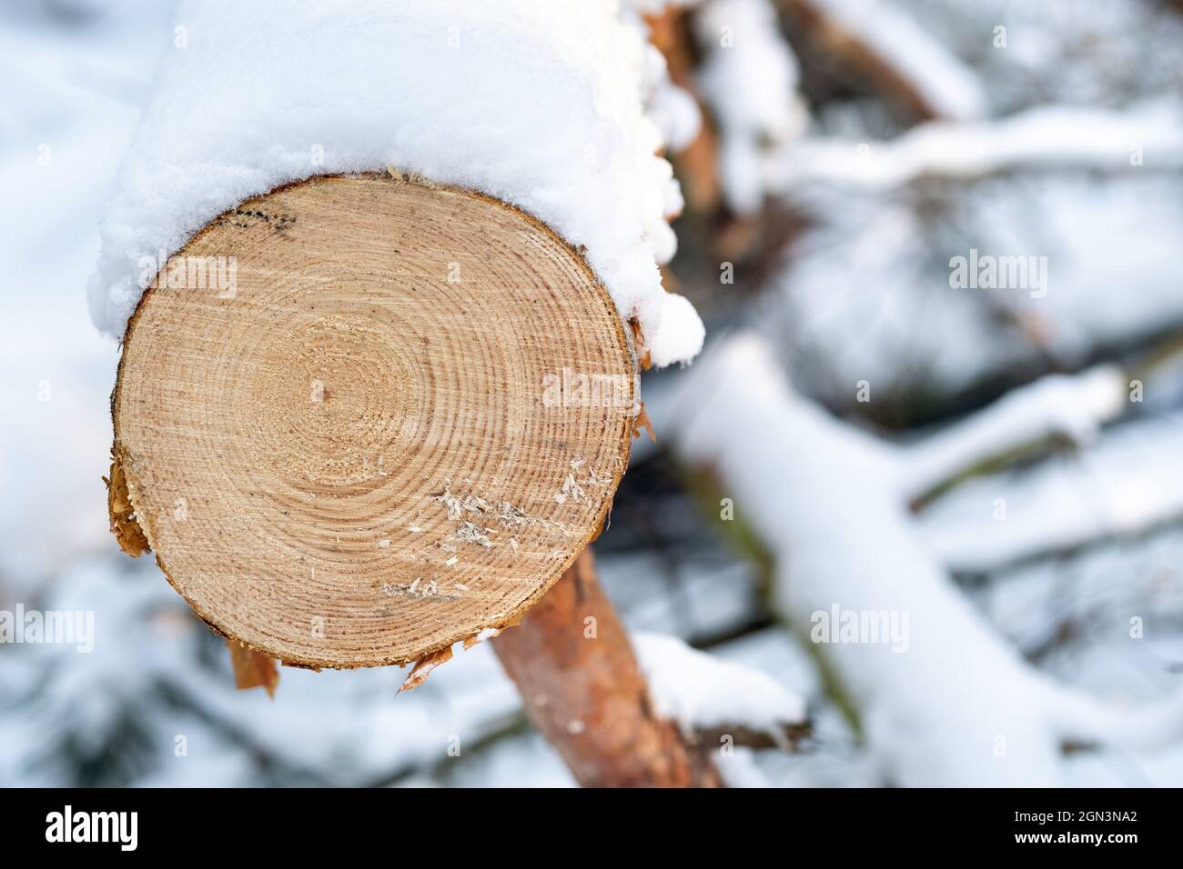 Smooth cut hi-res stock photography and images - Alamy