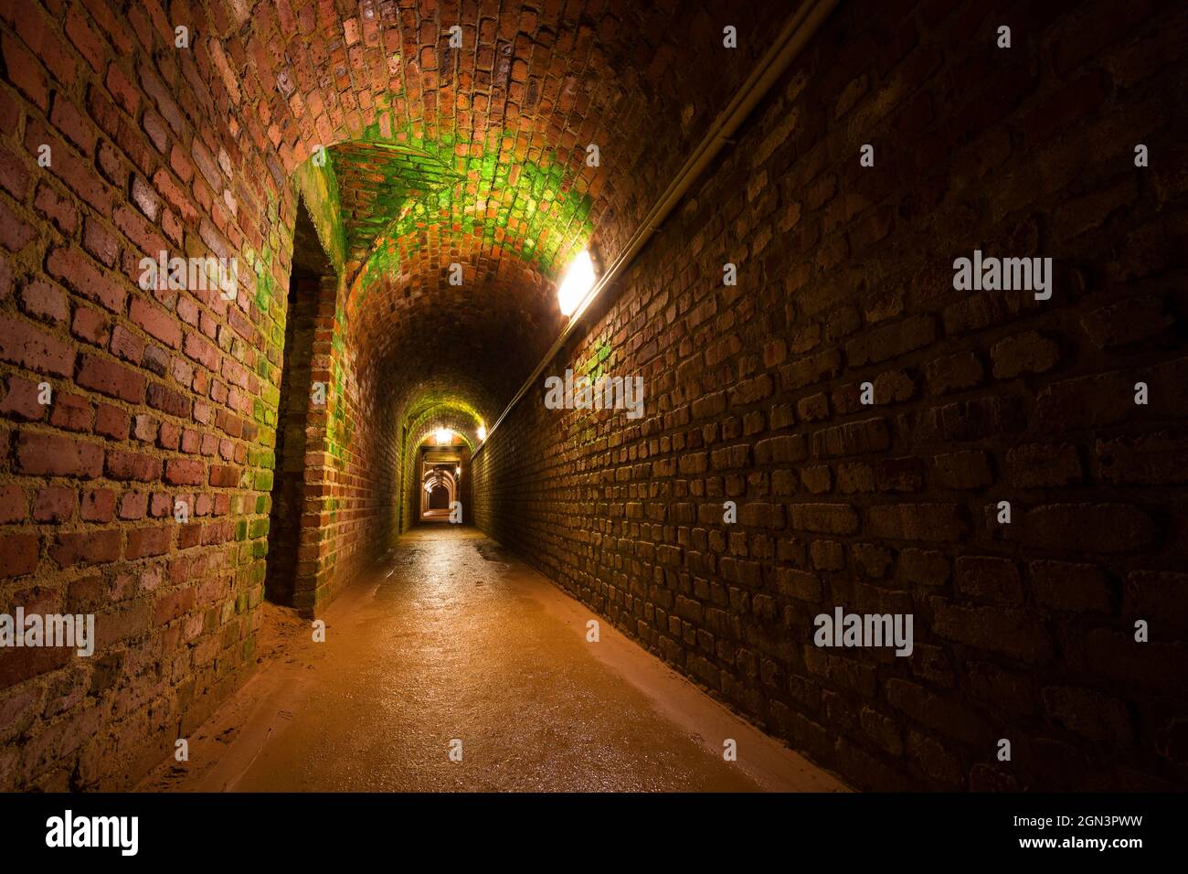 Sandstone caves in Homburg, Germany Stock Photo - Alamy