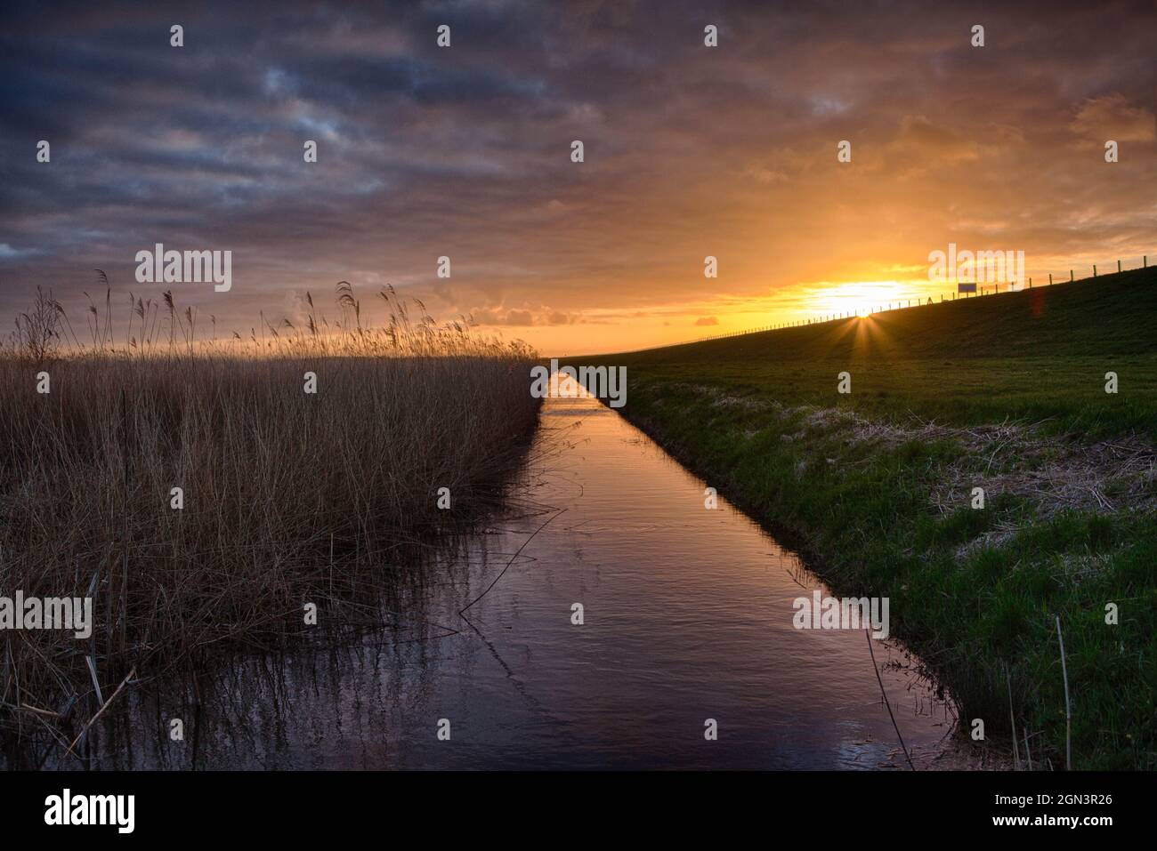 A sunset behind a dike with a calm ditch and reed in the province of ...