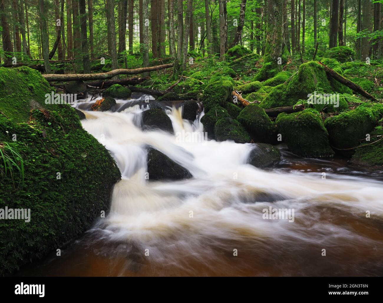 Waterfall of St.Wolfgang on the river Mala Vltavice, Sumava mountains ...