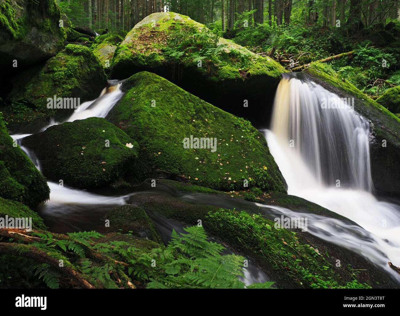 Waterfall of St.Wolfgang on the river Mala Vltavice, Sumava mountains ...