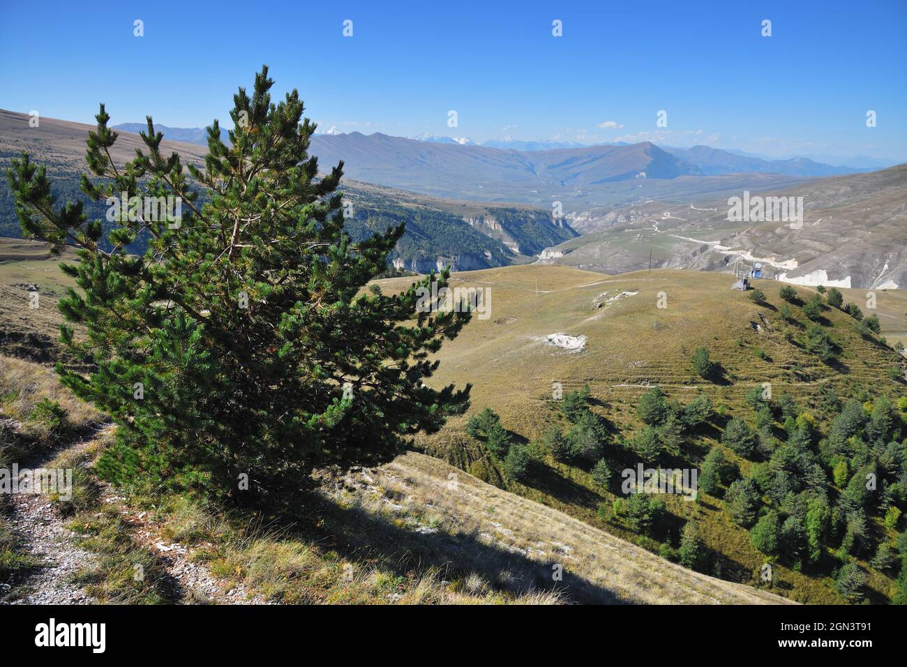 Caucasus alpine meadow and mountains landscape in Chechnya, Russia ...