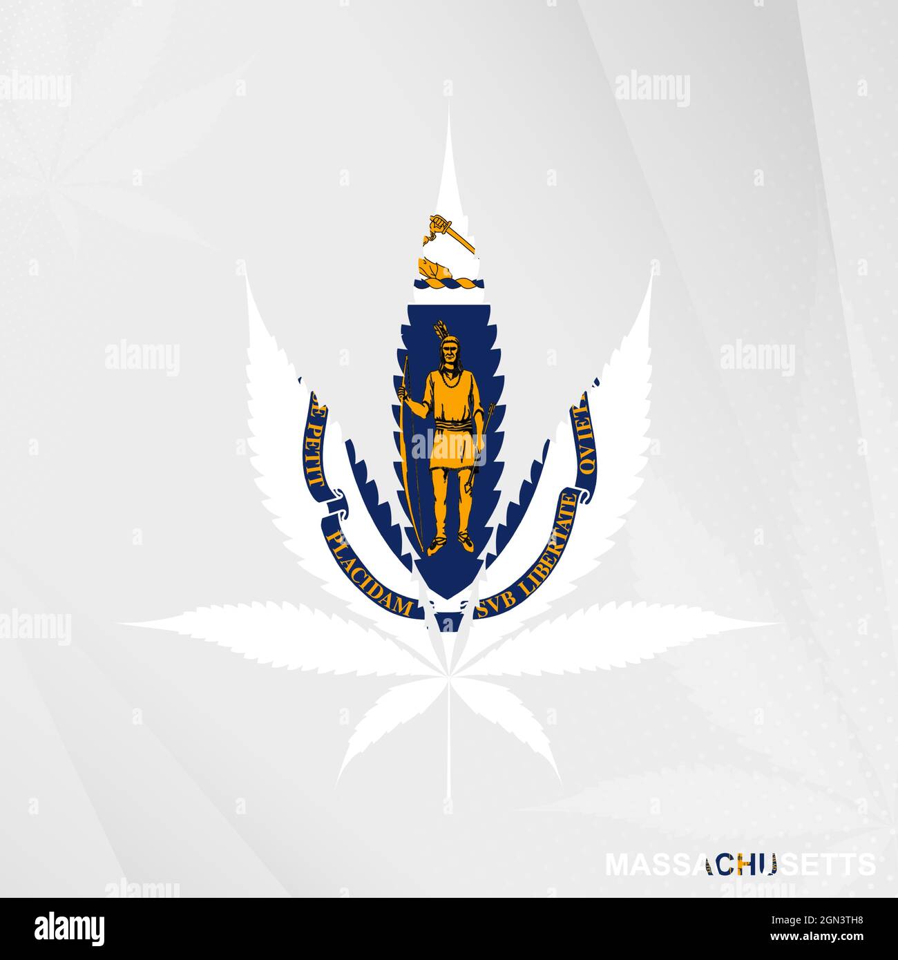 Flag of Massachusetts in Marijuana leaf shape. The concept of ...