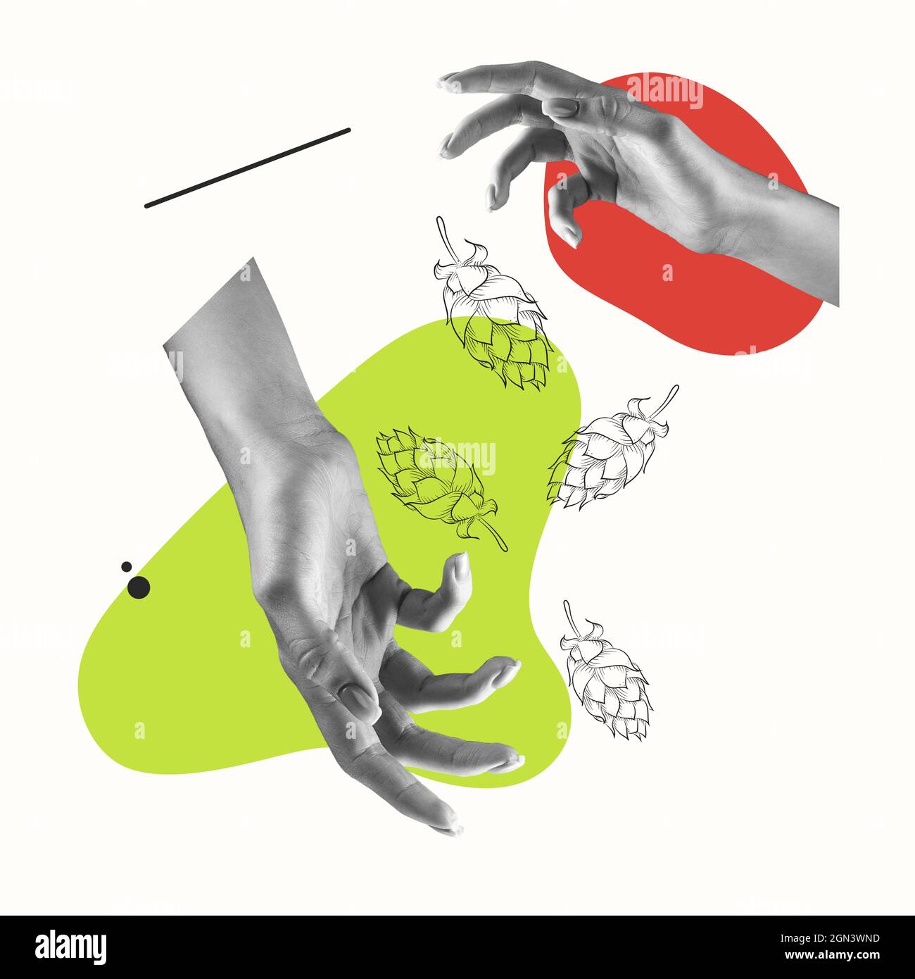 Creative composition, collage of human hands and beer hops siolated ...