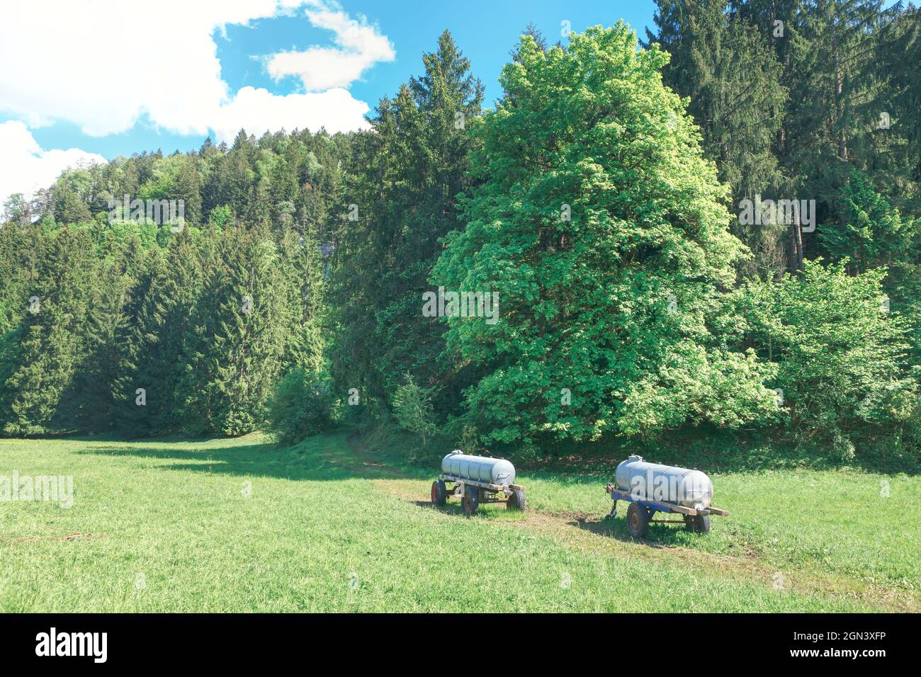 Water barrels for watering calves . Green meadow of dairy farm Stock ...