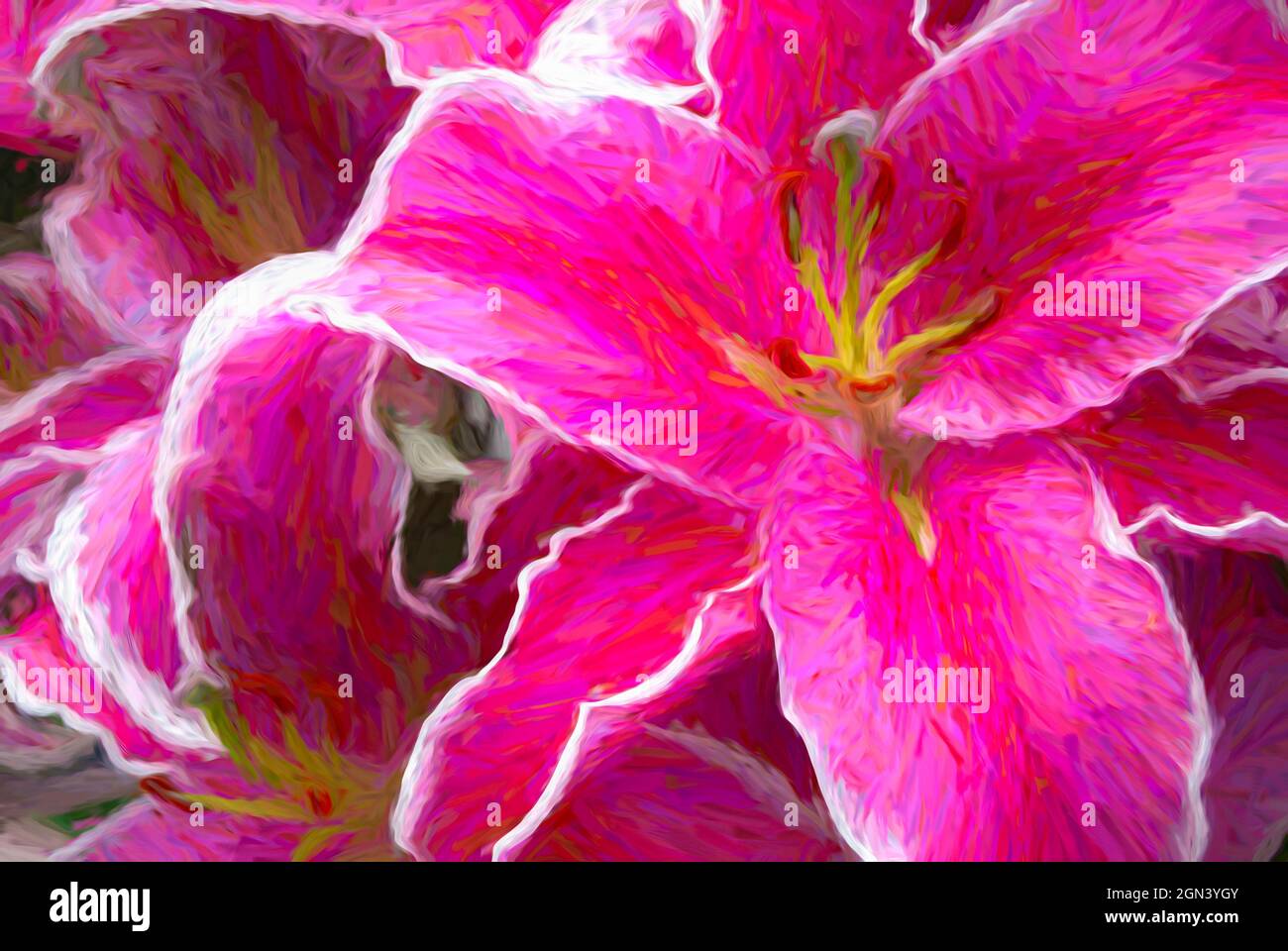 Digital painting of a pink lily Stock Photo - Alamy