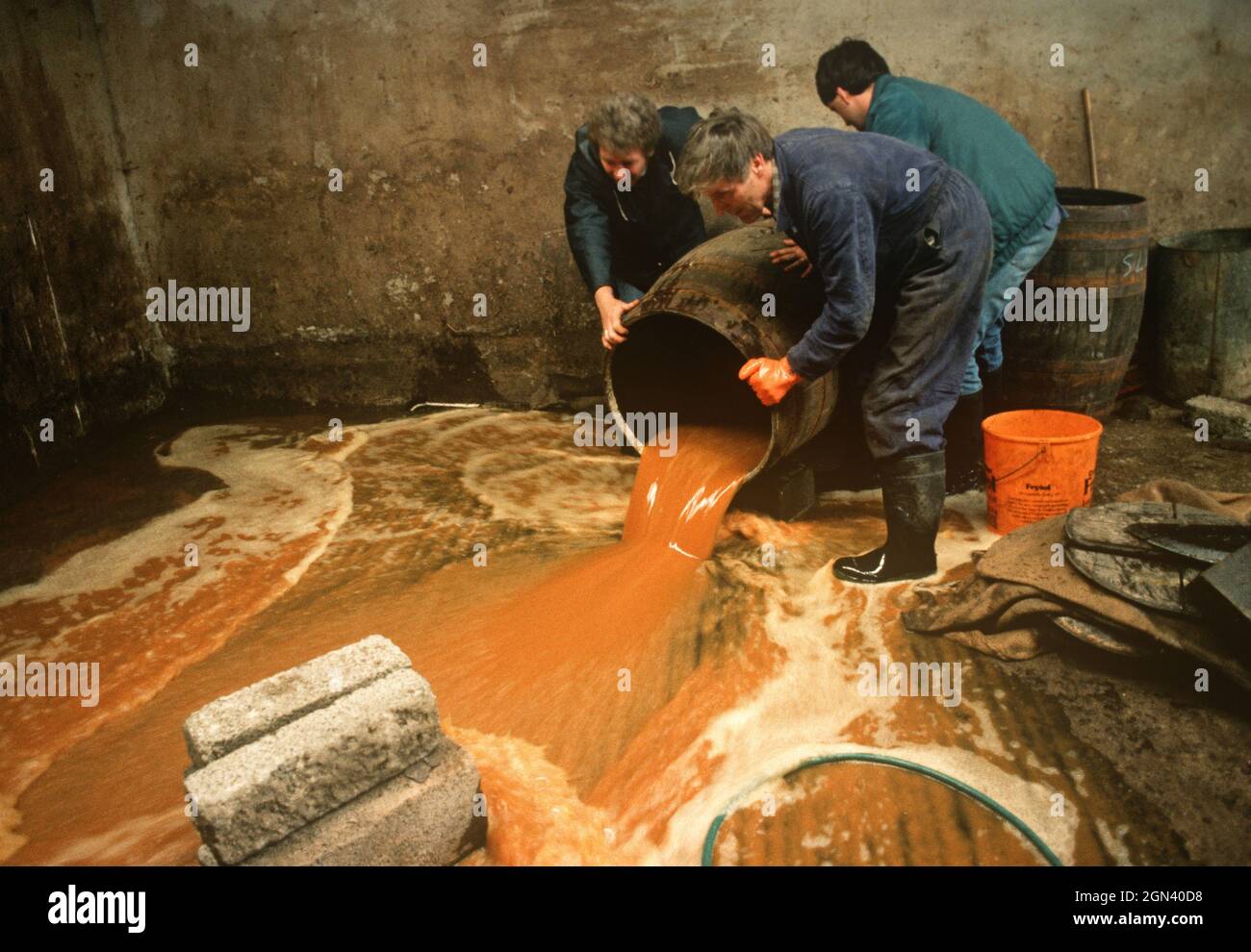 Customs and Excise officers emptying barrels of 'The Wash' fermented ...